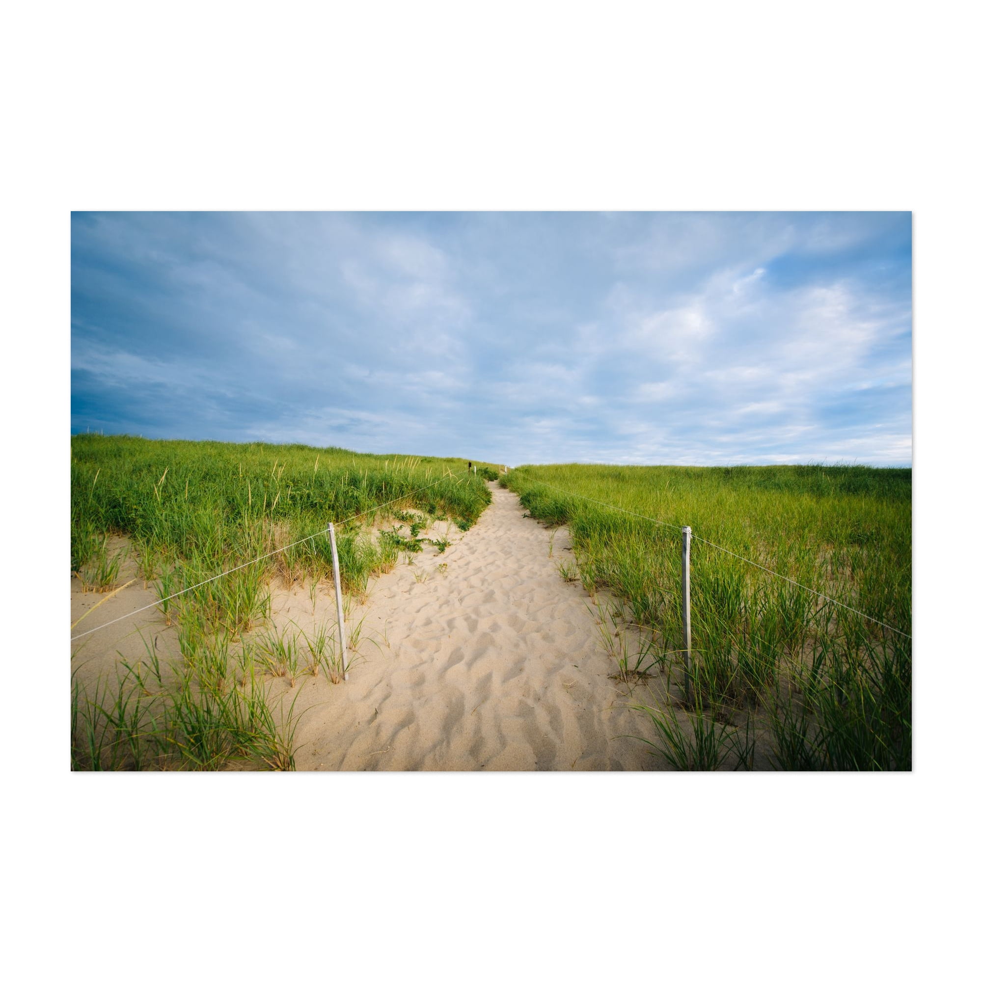 Dunes at Race Point - Massachusetts Photography Beach Coastal Nature ...
