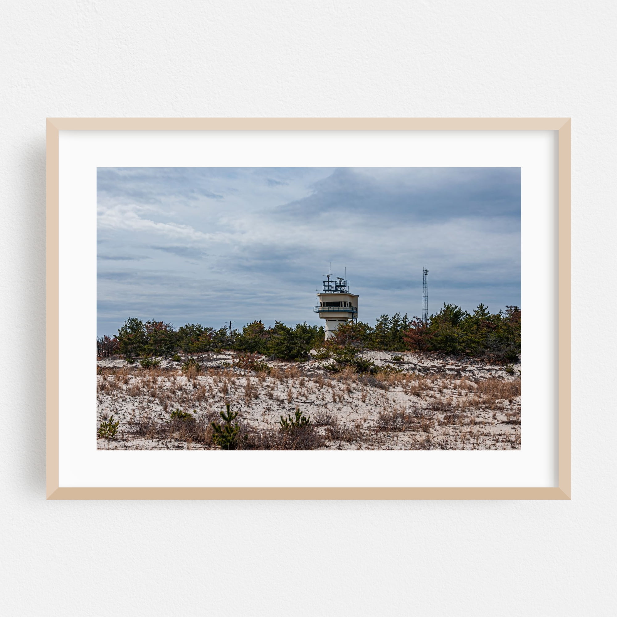 Dunes in Winter - Delaware Photography Lighthouse Coastal Beach Nature ...