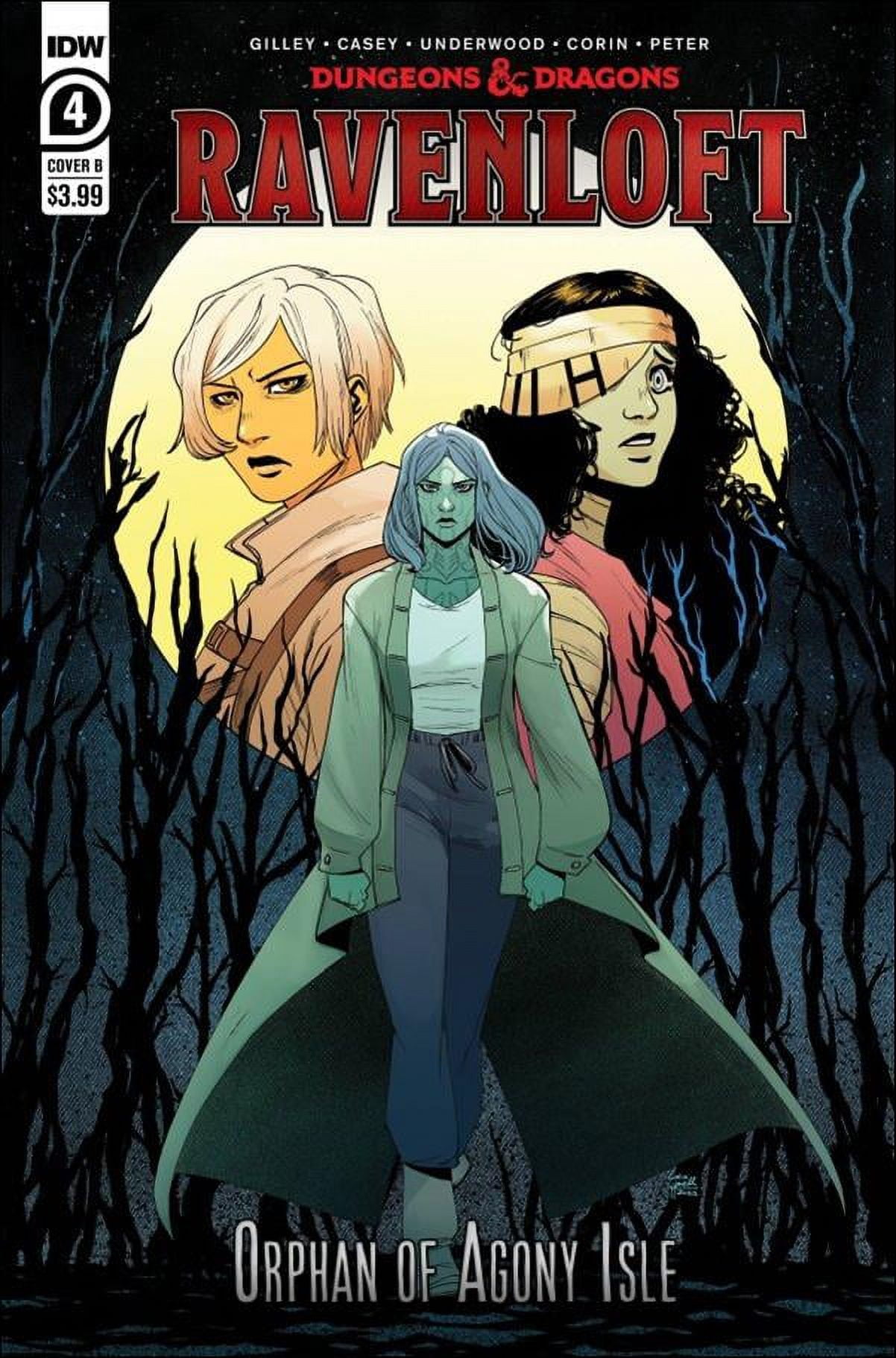 Dungeons And Dragons-Ravenloft: Orphan of Agony Isle #4B VF ; IDW Comic ...