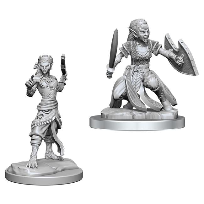 Dungeons & Dragons Nolzurs Marvelous Shifter Fighter W20 Miniature ...