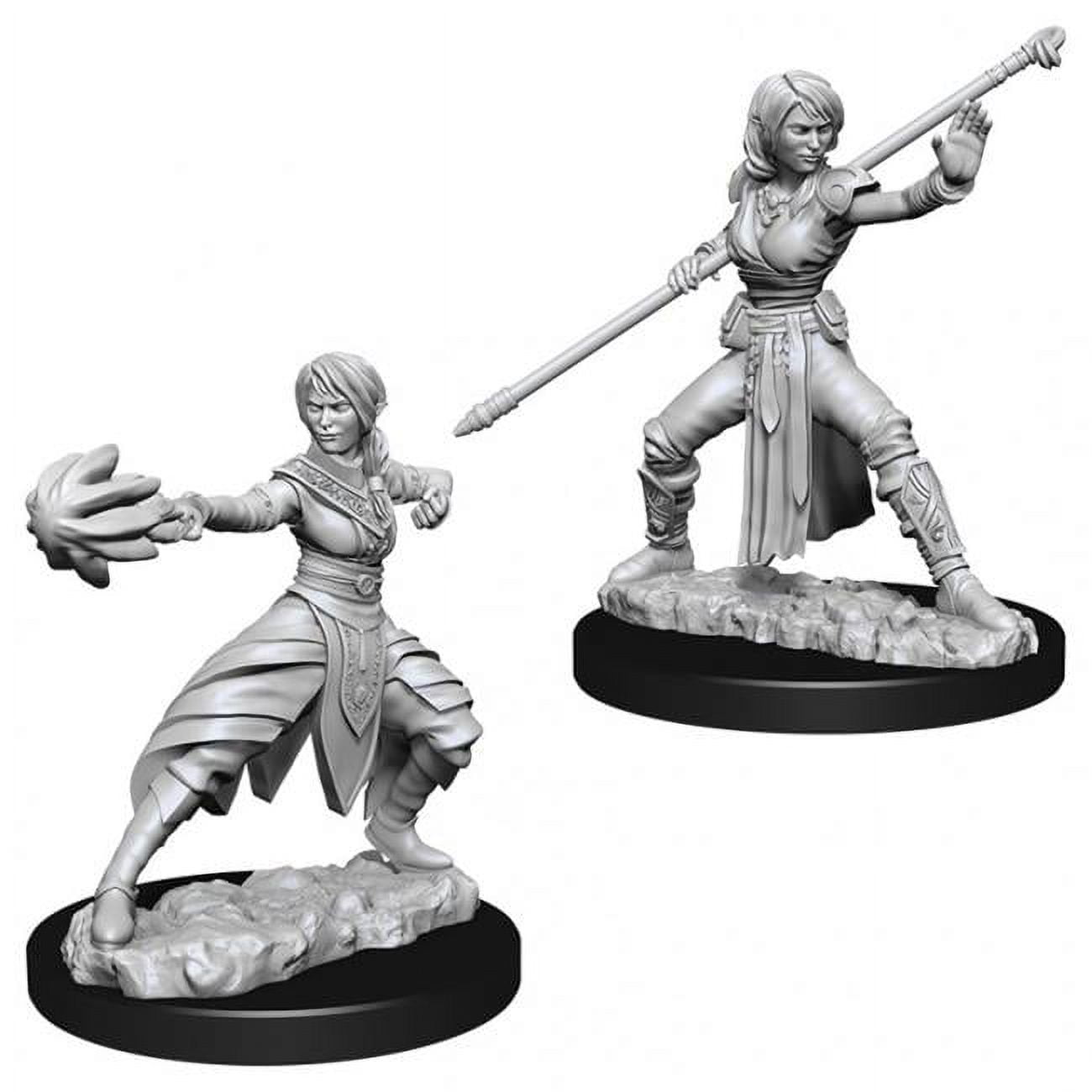 Half Elf Wizard Miniature