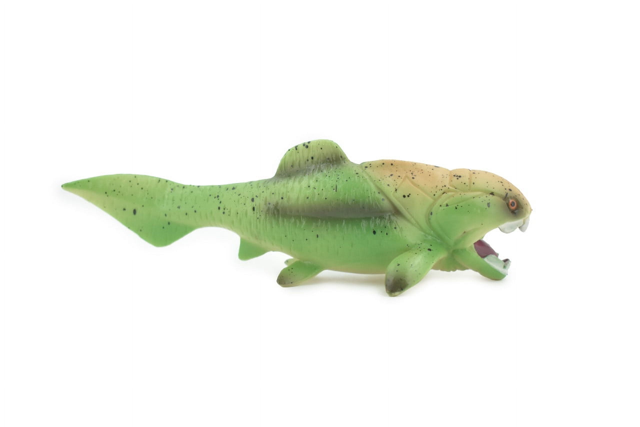 Dunkleosteus, Extinct Fish, Museum Quality, Hand Painted, Rubber ...