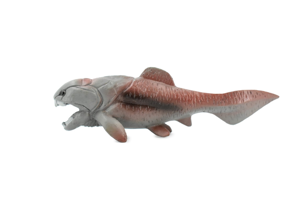 Dunkleosteus, Prehistoric Fish, Dinosaur, Museum Quality, Hand Painted ...