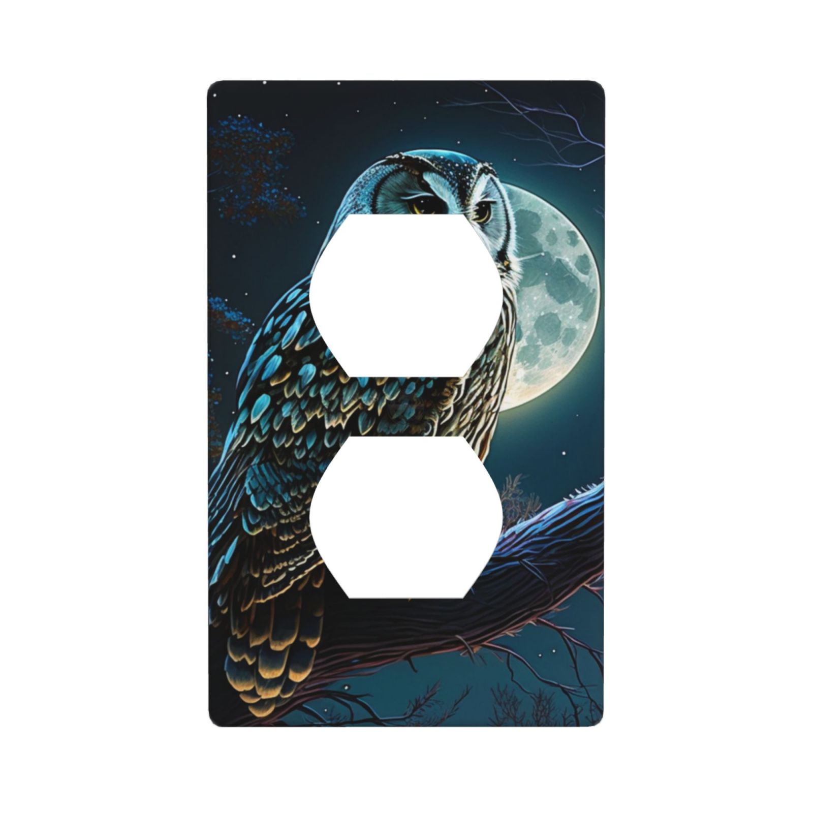 Duplex Light Switch Wall Plate 1-Gang Single Decorative Receptacle ...