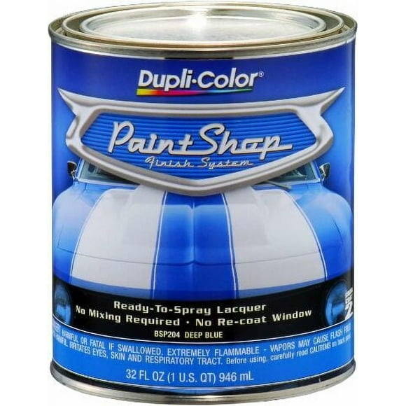 Duplicolor Paint
