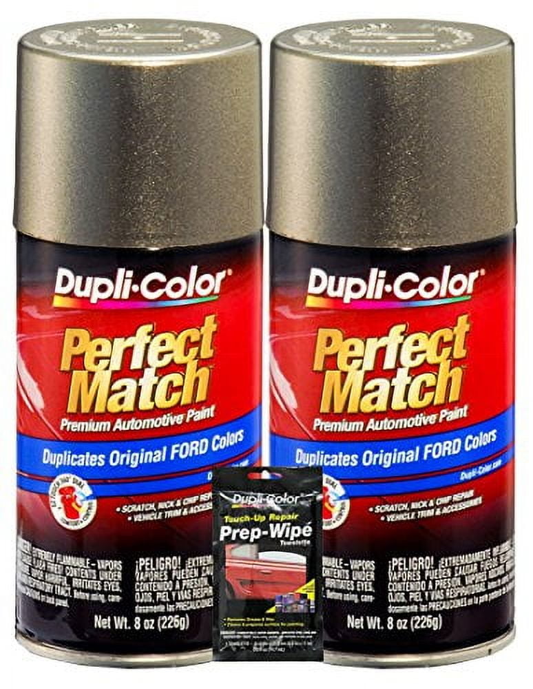 Dupli-Color Mineral Gray Metallic Ford Exact-Match Automotive Paint - 8 ...