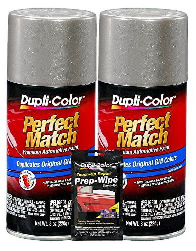 Dupli-Color Pewter Metallic General Motors Exact-Match Automotive Paint ...
