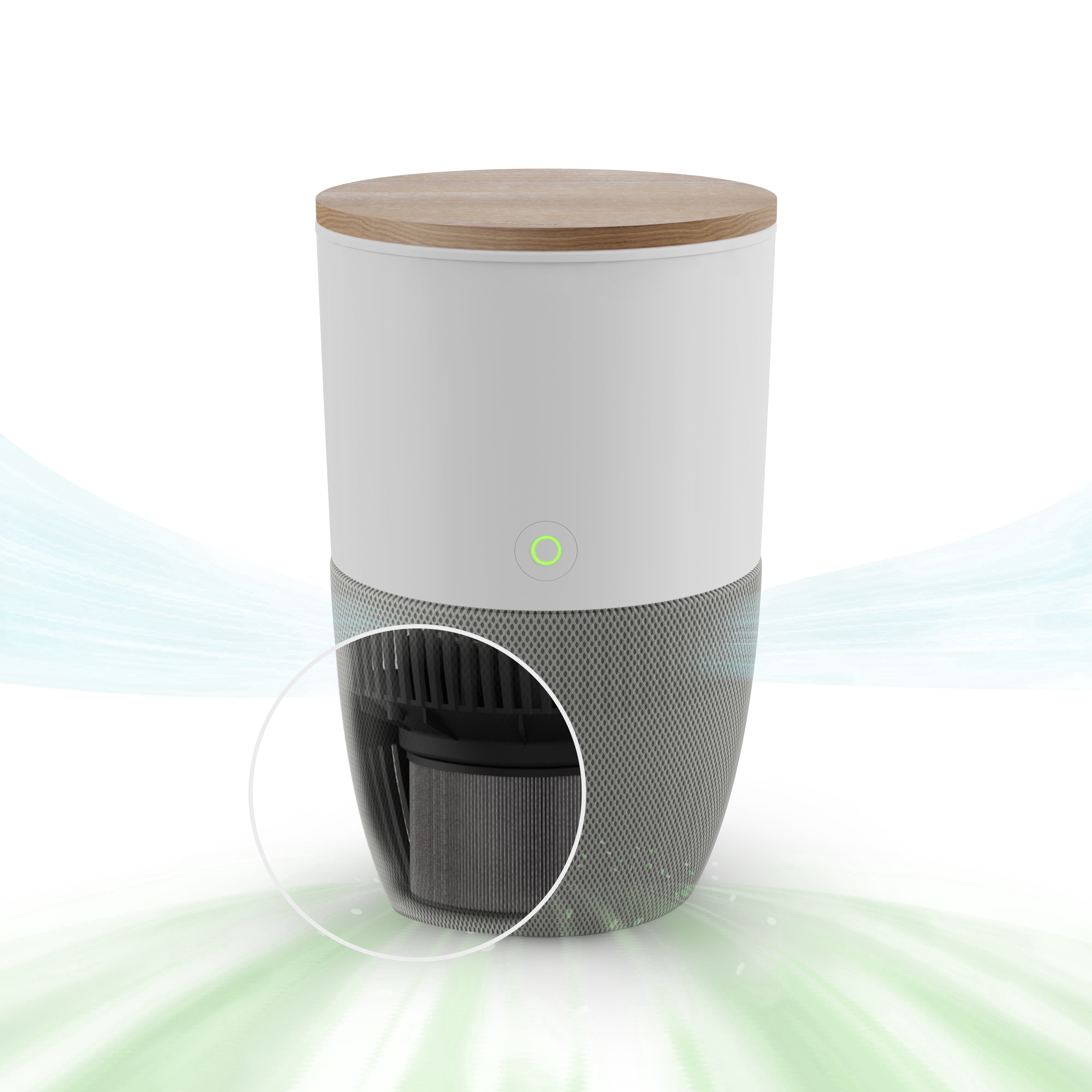 Dupray Bloom™ Smart Air Purifier with Medical-Grade HEPA-13 Filtration ...
