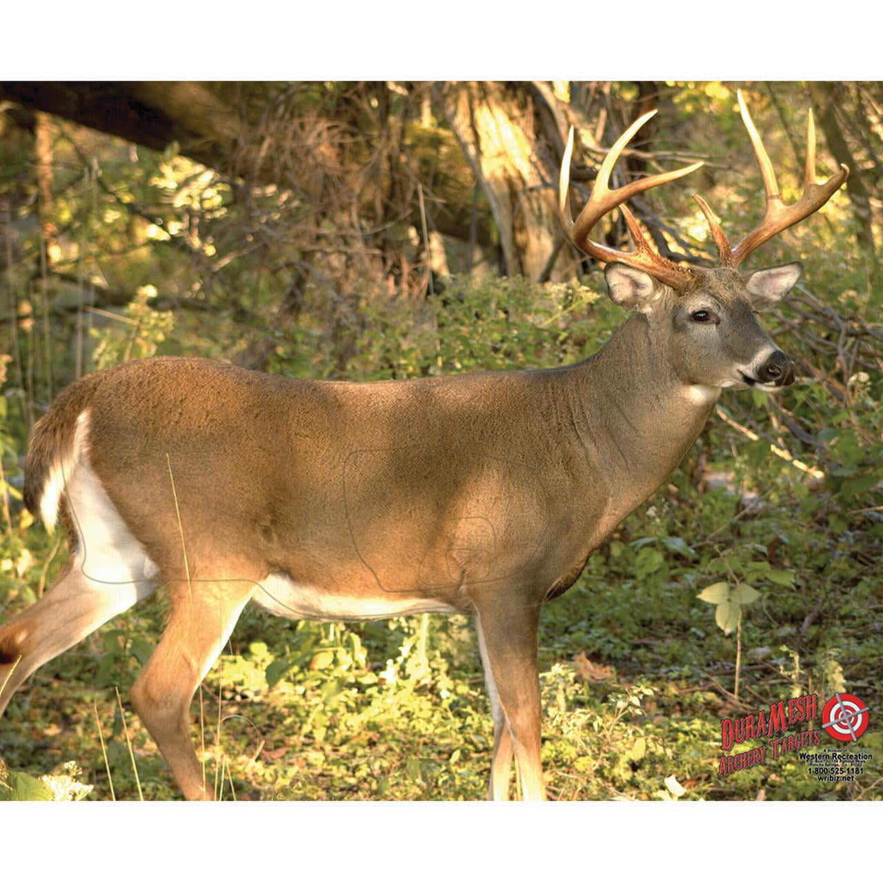 Dura Mesh Archery Whitetail 3 Target, Brown, 25" x 32" - Walmart.com