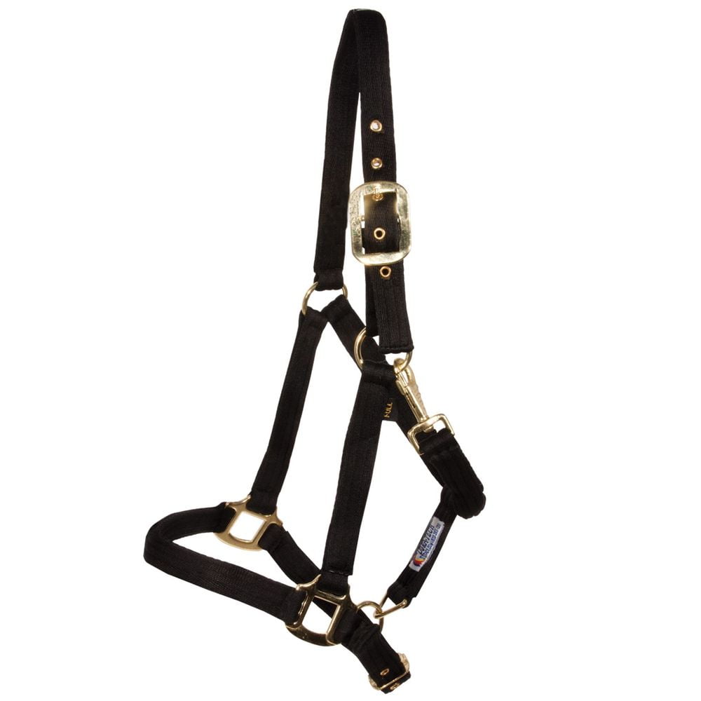 Dura-Tech Cushion Web Halter for Horses | Soft Poly Web | Black | Cob ...