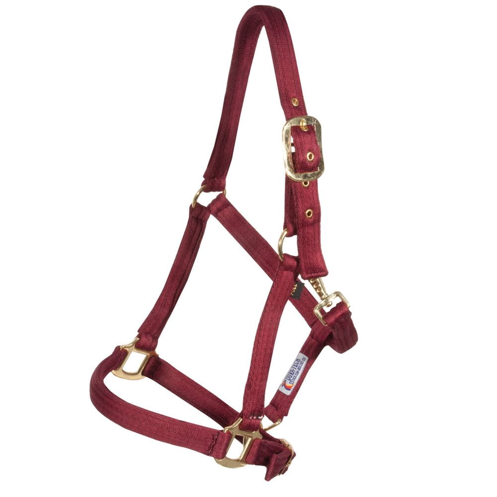 Dura-Tech Cushion Web Halter for Horses | Soft Poly Web | Burgundy ...