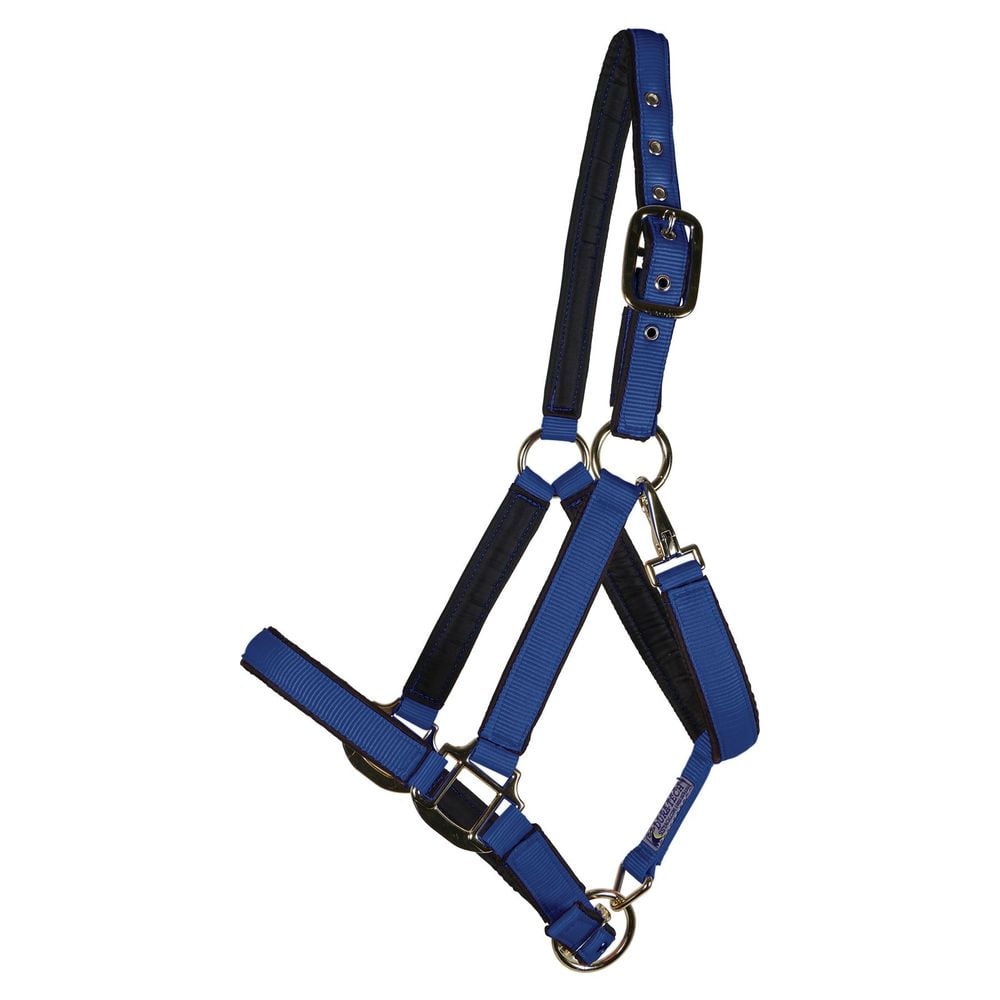 Dura-Tech Deluxe Fully Padded Nylon Horse Halter | Color Navy | Size ...