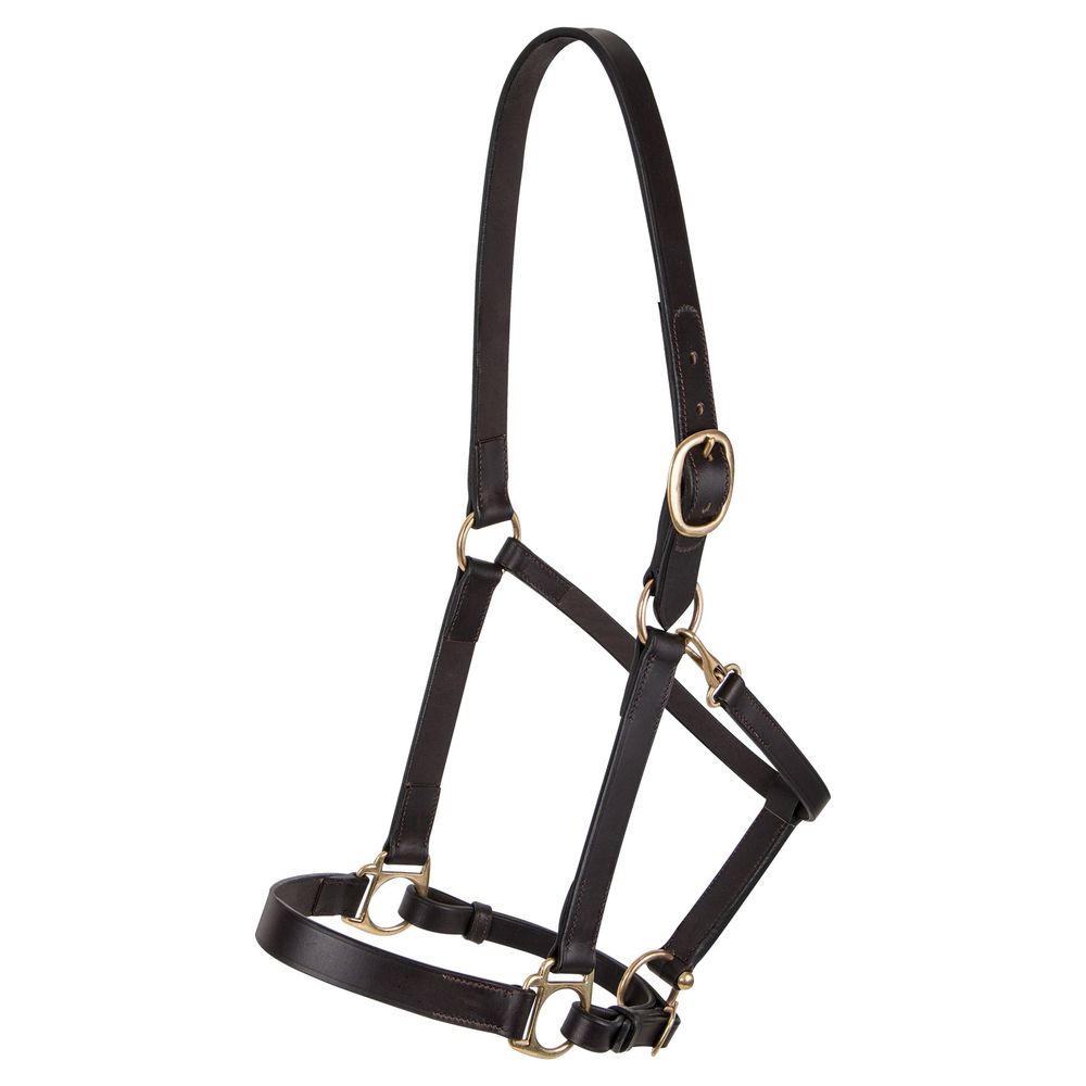 Black 1 In Oversize Black Turnout Horse Halter By Perris Leather ...