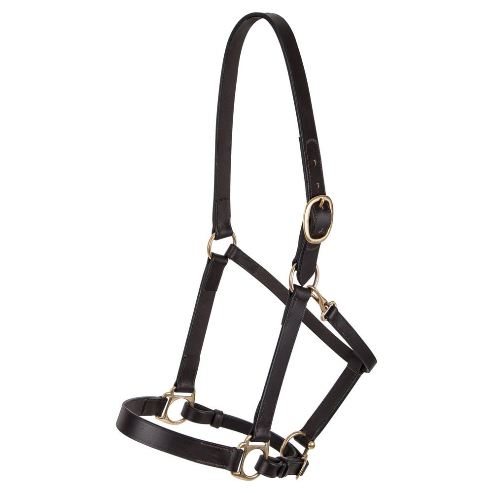 Dura-Tech Premier Buffalo Leather Horse Halter | Style Lancaster ...