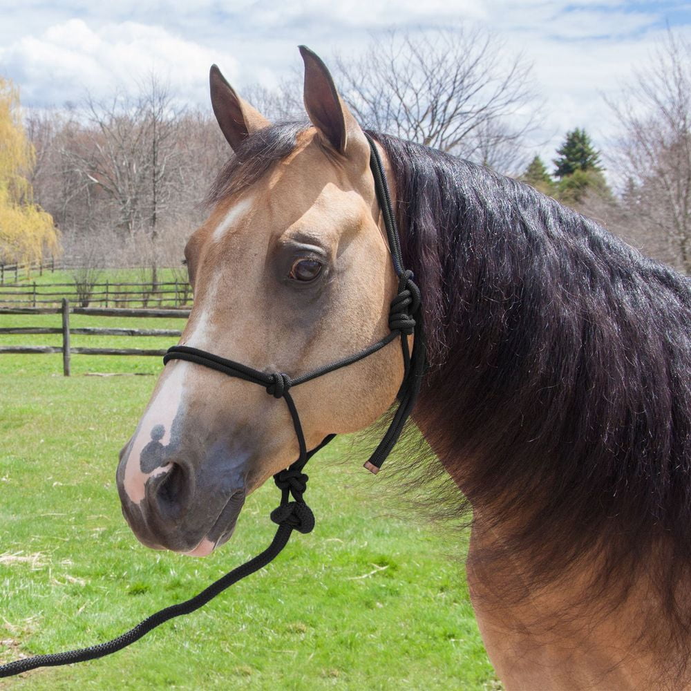 Dura-Tech Rope Halter for Horses and Lead | Horse Equipment | Color ...