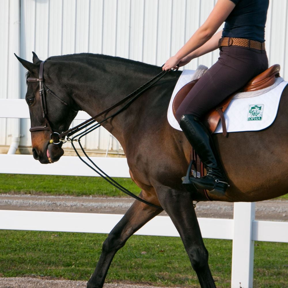 Dura-Tech Sliding Snap Rope Draw Reins for Horses | Durable Cotton Poly ...