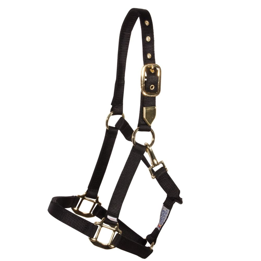Dura-Tech Triple Ply Nylon Horses Halter with Brass Grommets | Black ...