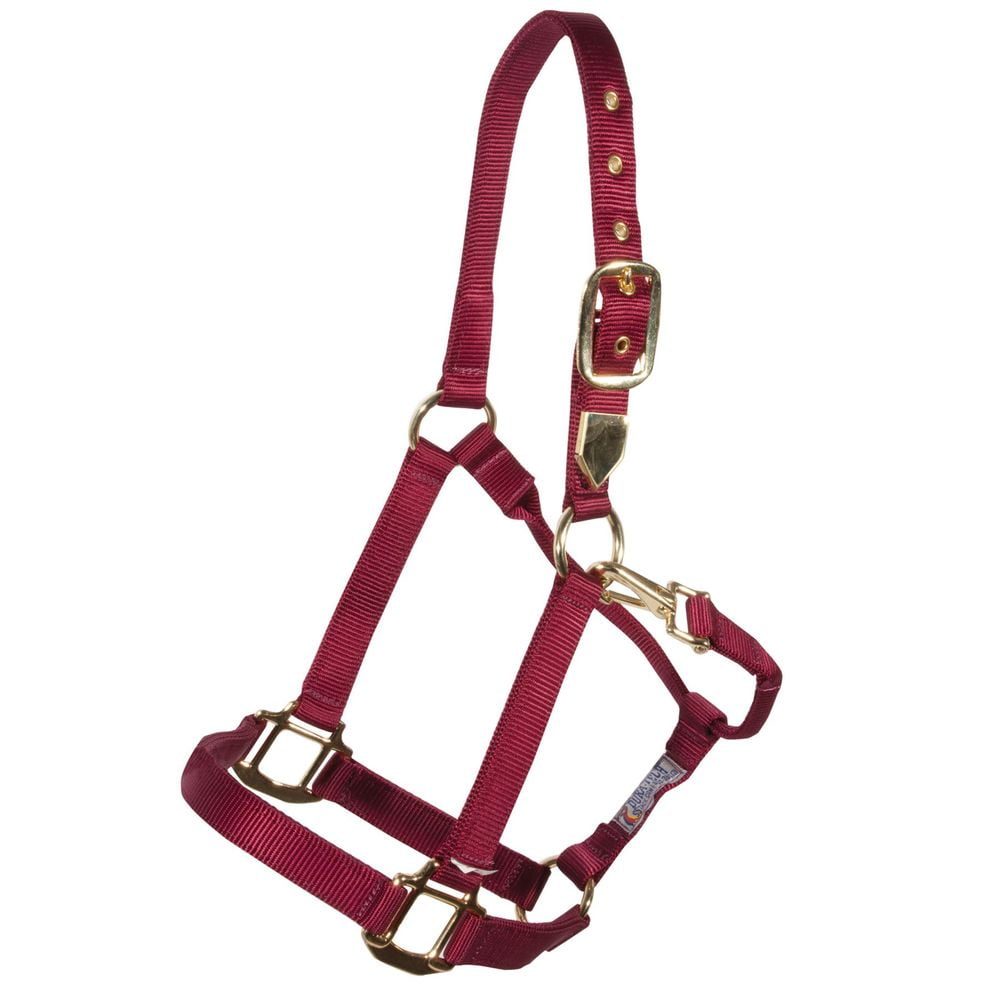 Dura-Tech Triple Ply Nylon Horses Halter with Brass Grommets | Burgundy ...