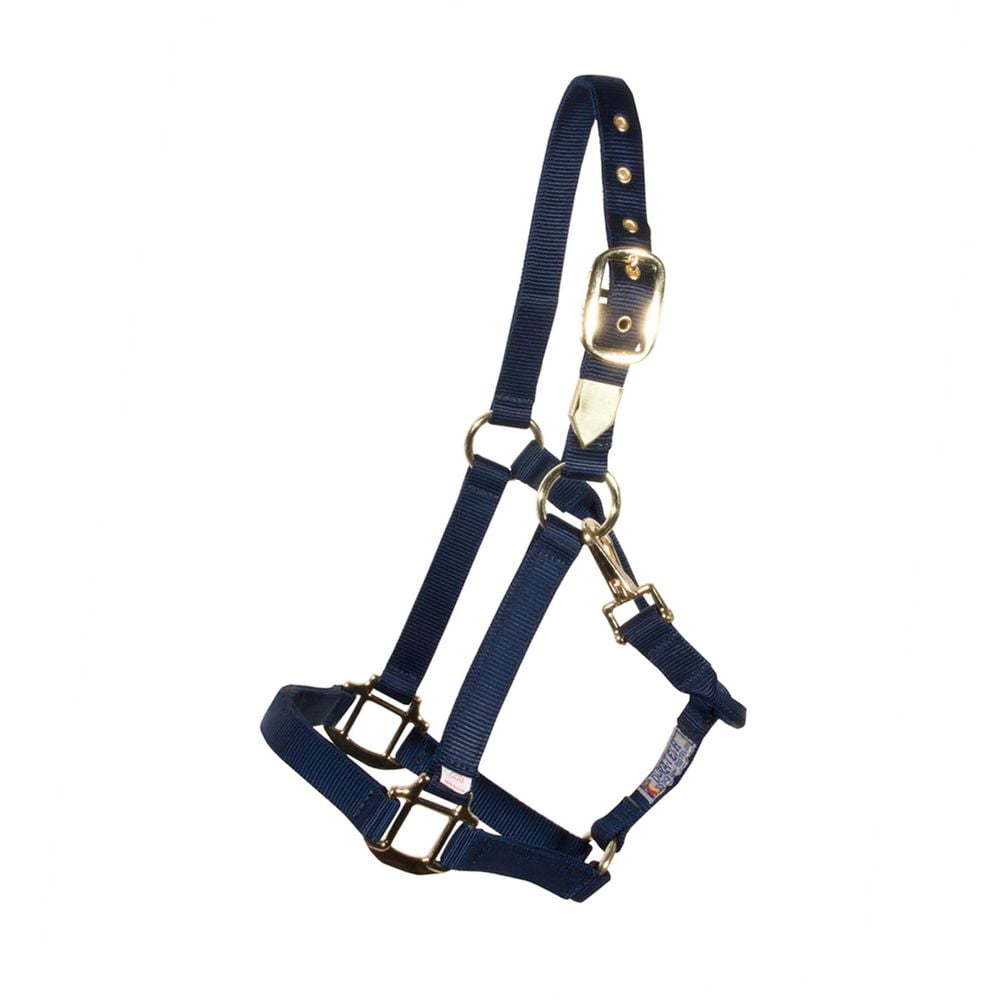 Dura-Tech Triple Ply Nylon Horses Halter with Brass Grommets | Navy ...