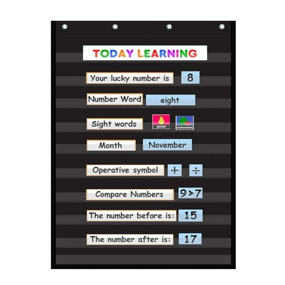 Durable 10 Pocket Hanging Chart for Teachers, Large Clear Wall ...