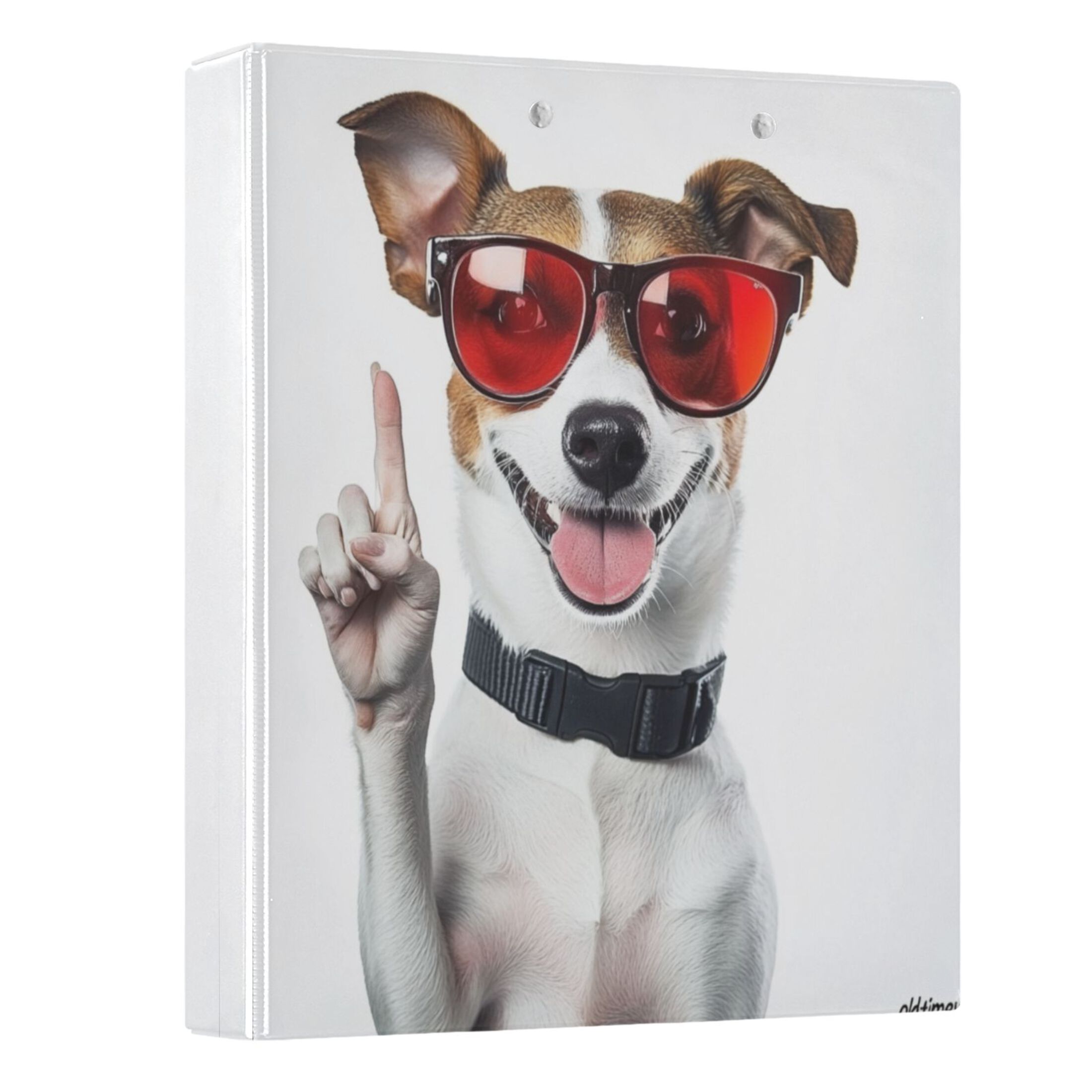 Durable 3 Ring Binder,1.5 Inch,Holds 220 Sheets,Presentation View for ...