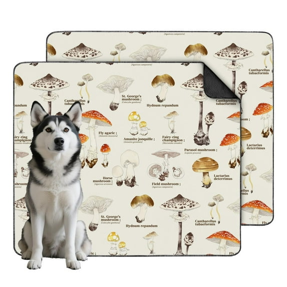 Durable 35"x41" Reusable Housebreaking Pads for Dogs, Thick Pet Floor ...