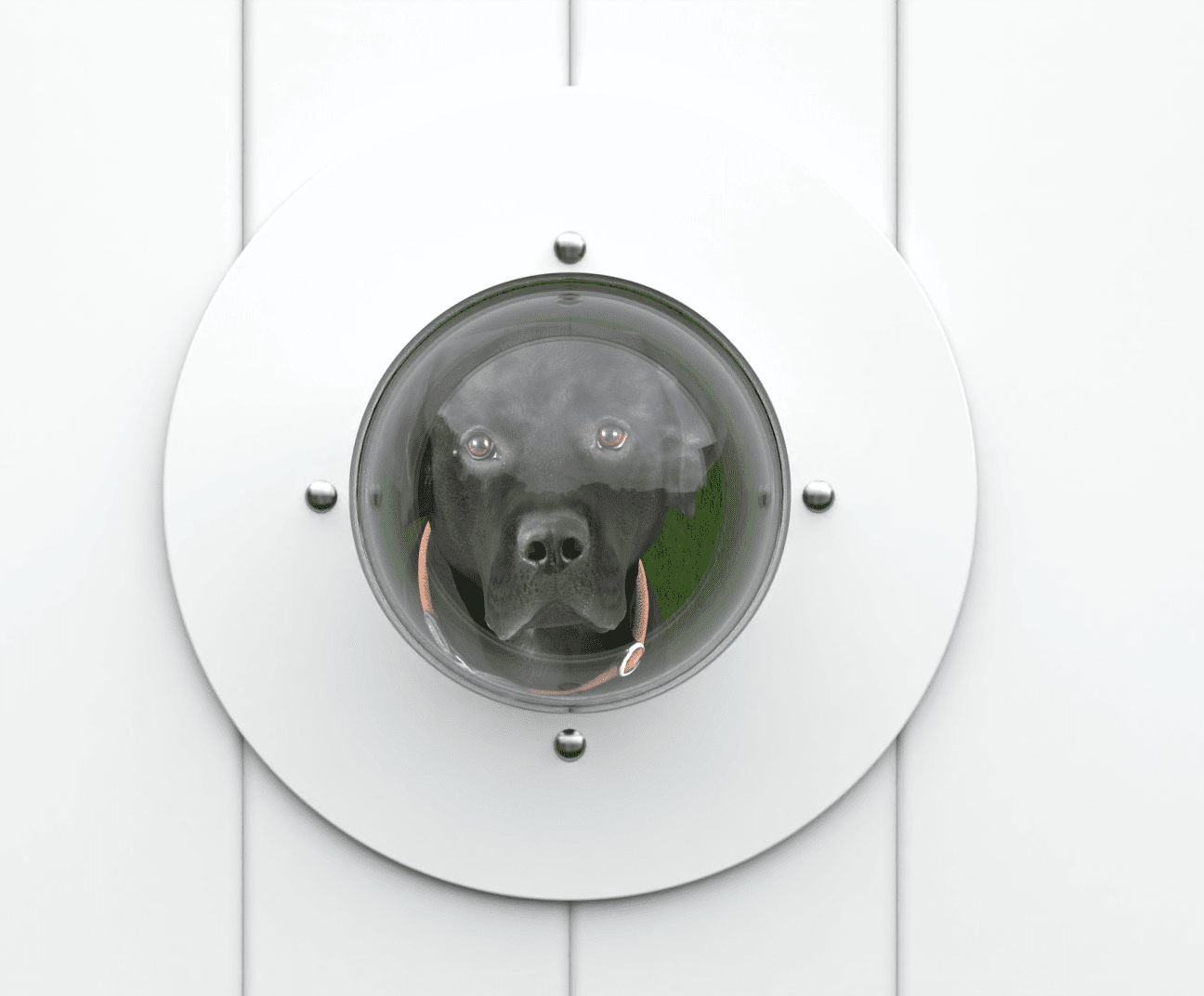 Durable Acrylic Dome Dog Window for Vinyl and Wood Fence - Walmart.com