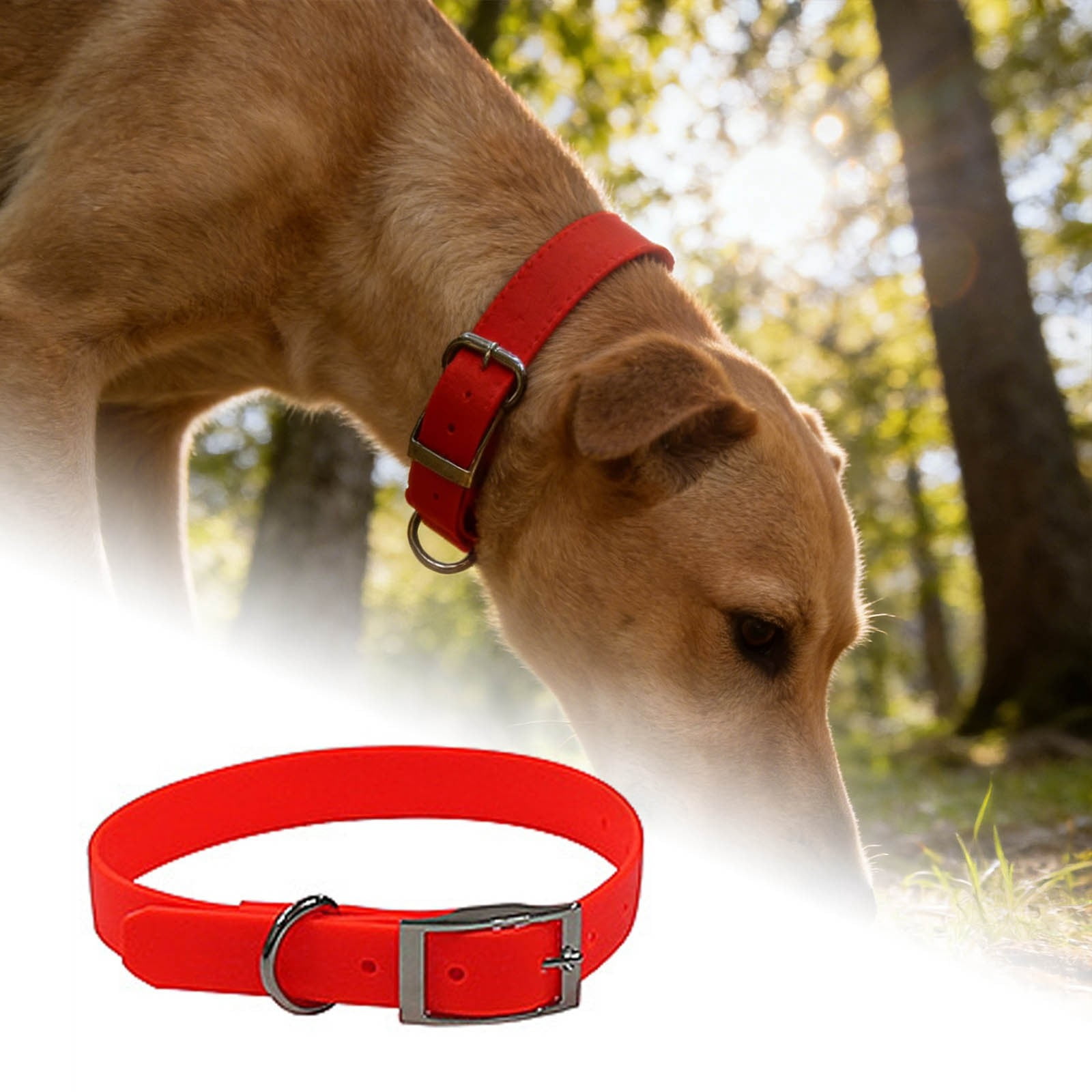 Durable Adjustable Nylon Pet Collar with Secure Double Clasps and D ...