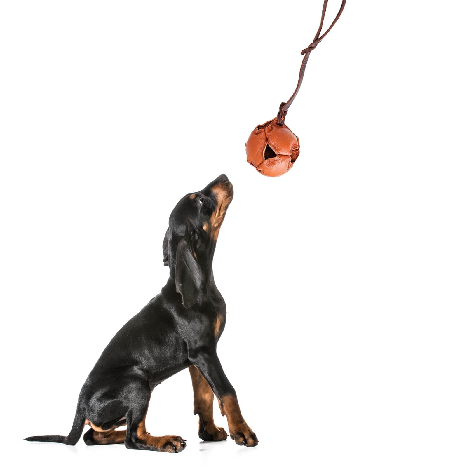 Durable Ball with Handle Professional Dog Tug of War Toys Throw Toy ...