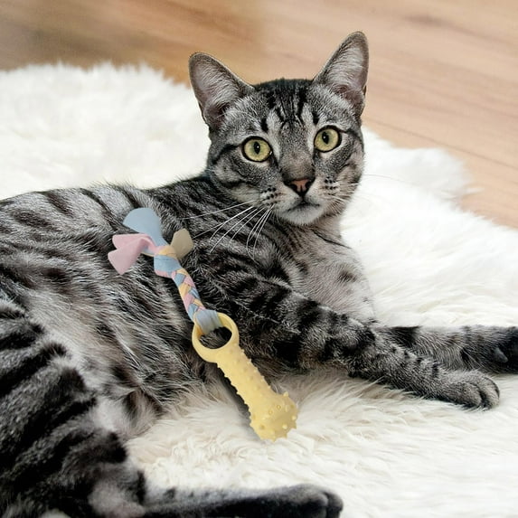 Durable Dog Chew Toys For Aggressive Chewers Interactive Pet Teeth ...