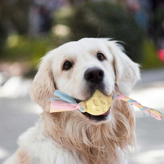 Durable Dog Chew Toys For Aggressive Chewers Interactive Pet Teeth ...