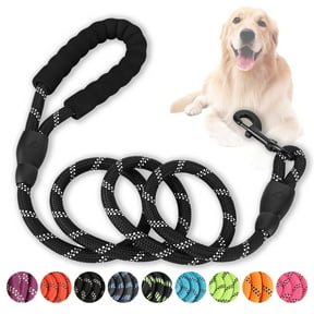 Durable Nylon Dog Leash for Training & Walking, Sizes (15-100Ft), For ...