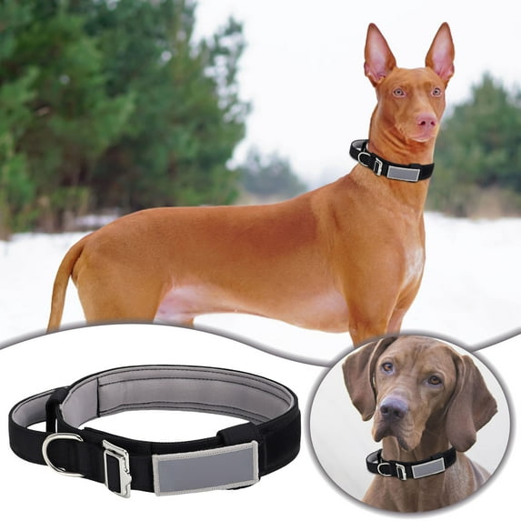 Durable Explosion Proof Traction Dog Collar for Large Lightweight ...