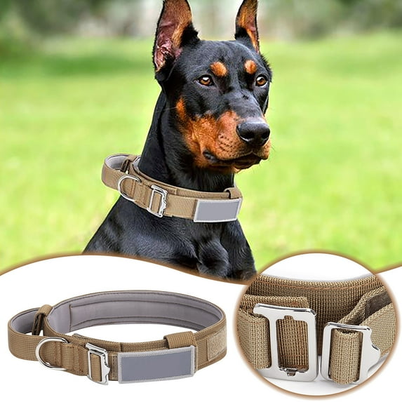 Durable Explosion Proof Traction Dog Collar for Large Lightweight ...