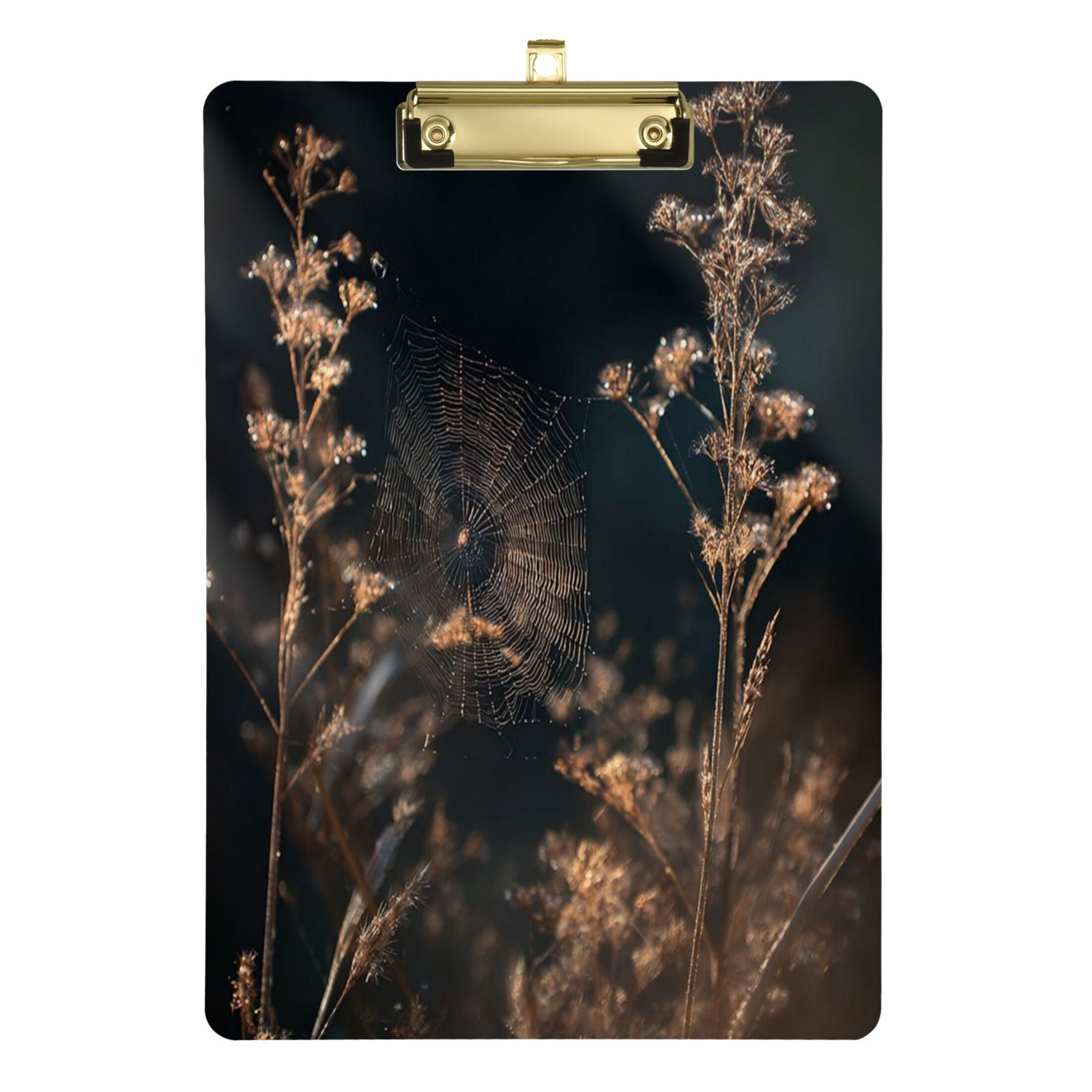 Durable Folder,12*9 in Suitable for Teachers Durable Portable Folder ...