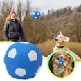 Durable Football Dog Toy - Chew Resistant Fetch Ball for Medium & Large ...
