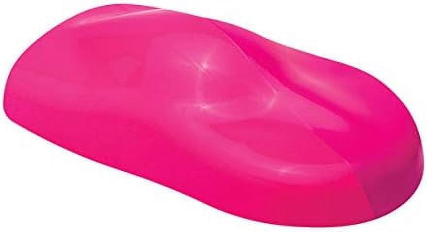 Durable Heat Atomic Powder Polyester TGIC 1 Pound - Walmart.com