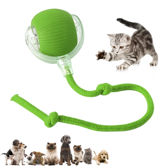 Durable Interactive Cat Toys for Indoor Cats, Smart Automatic Cat Chase ...