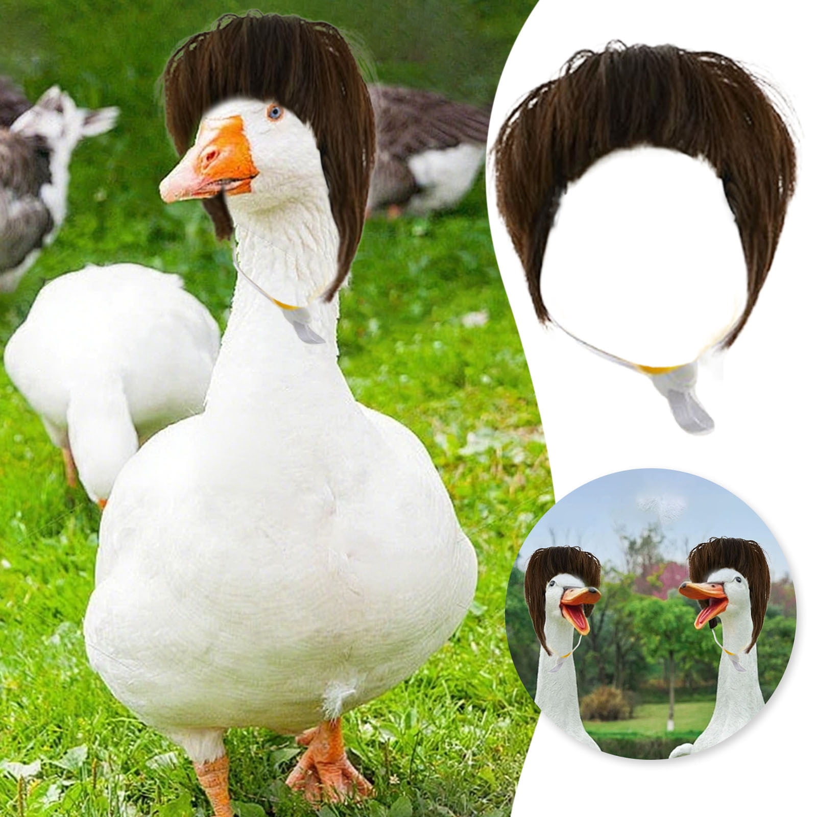 Durable Interactive Pet Toys for Dogs and Cats Chew Toys for Puppy Exercise Training Teething ...