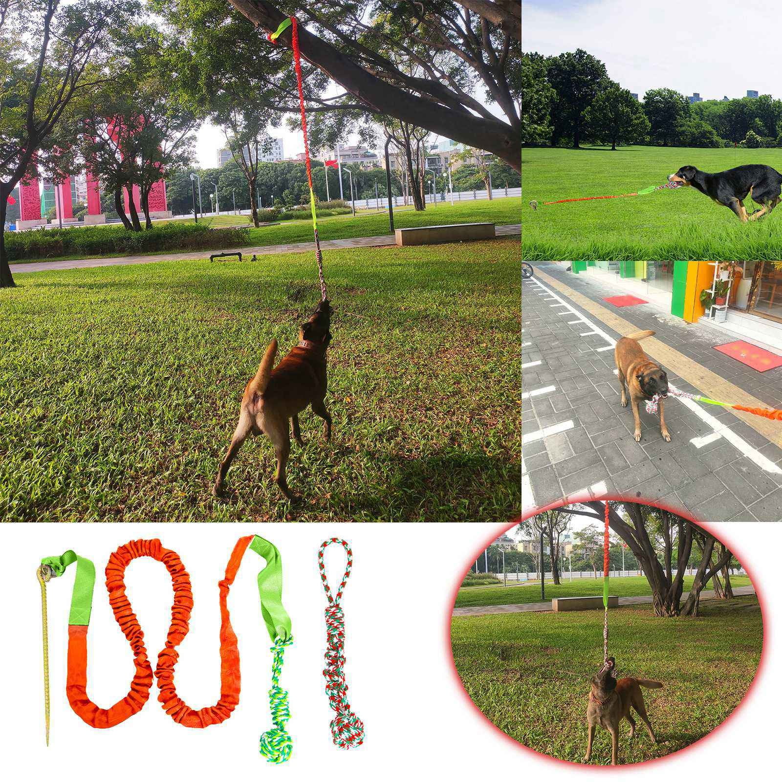 Durable Interactive Tug Of War Knotted Rope Dog Toy for Outdoor Tree ...