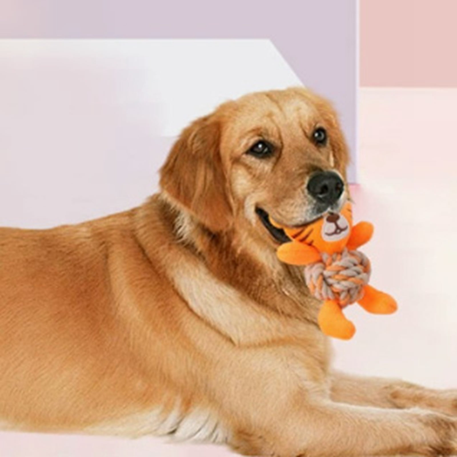 Dog Teething Rope Toy with Sound for Small Medium Dogs Cute Animal ...