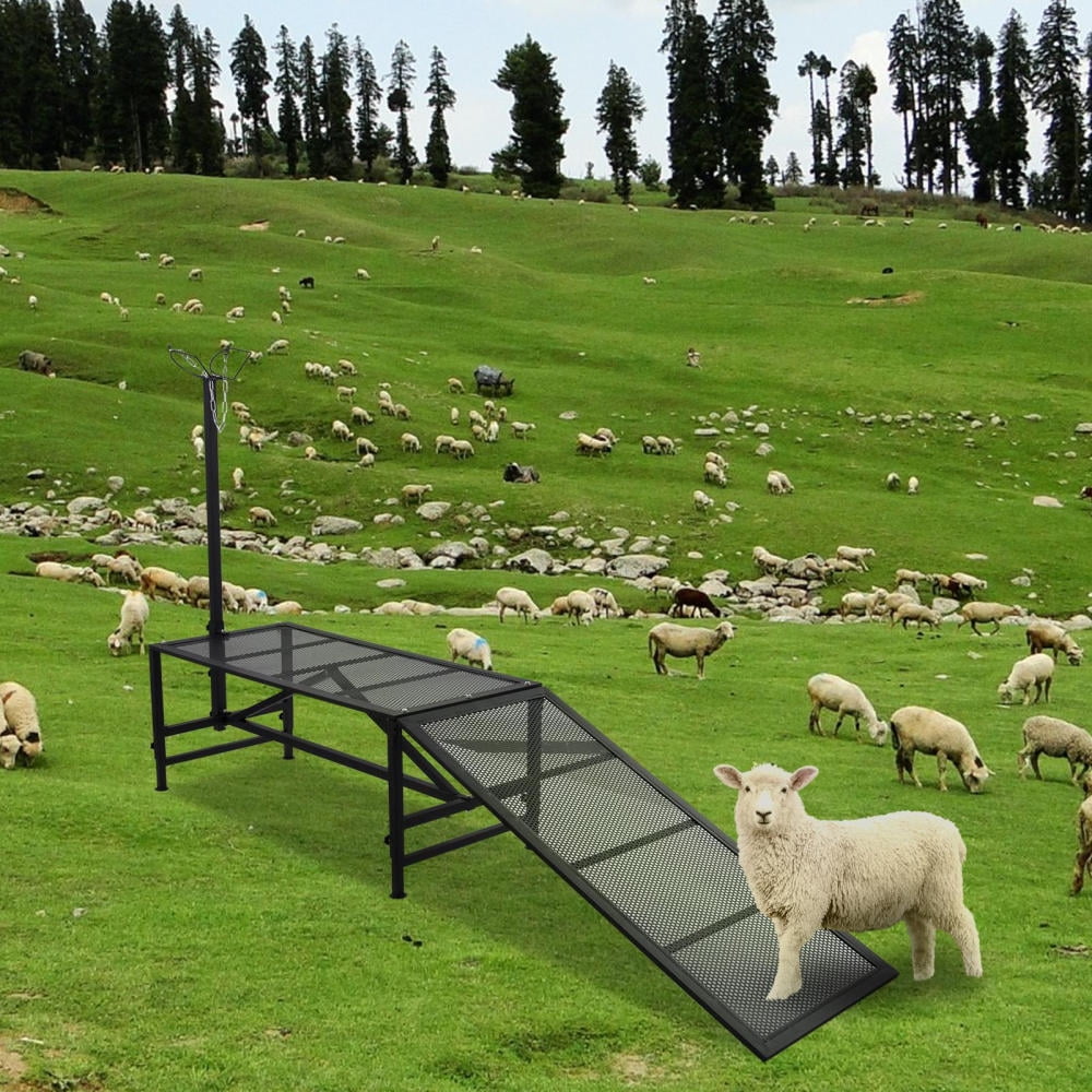 Durable Metal Livestock Stand with Ramp for Goat Hoof Care, Ranch ...