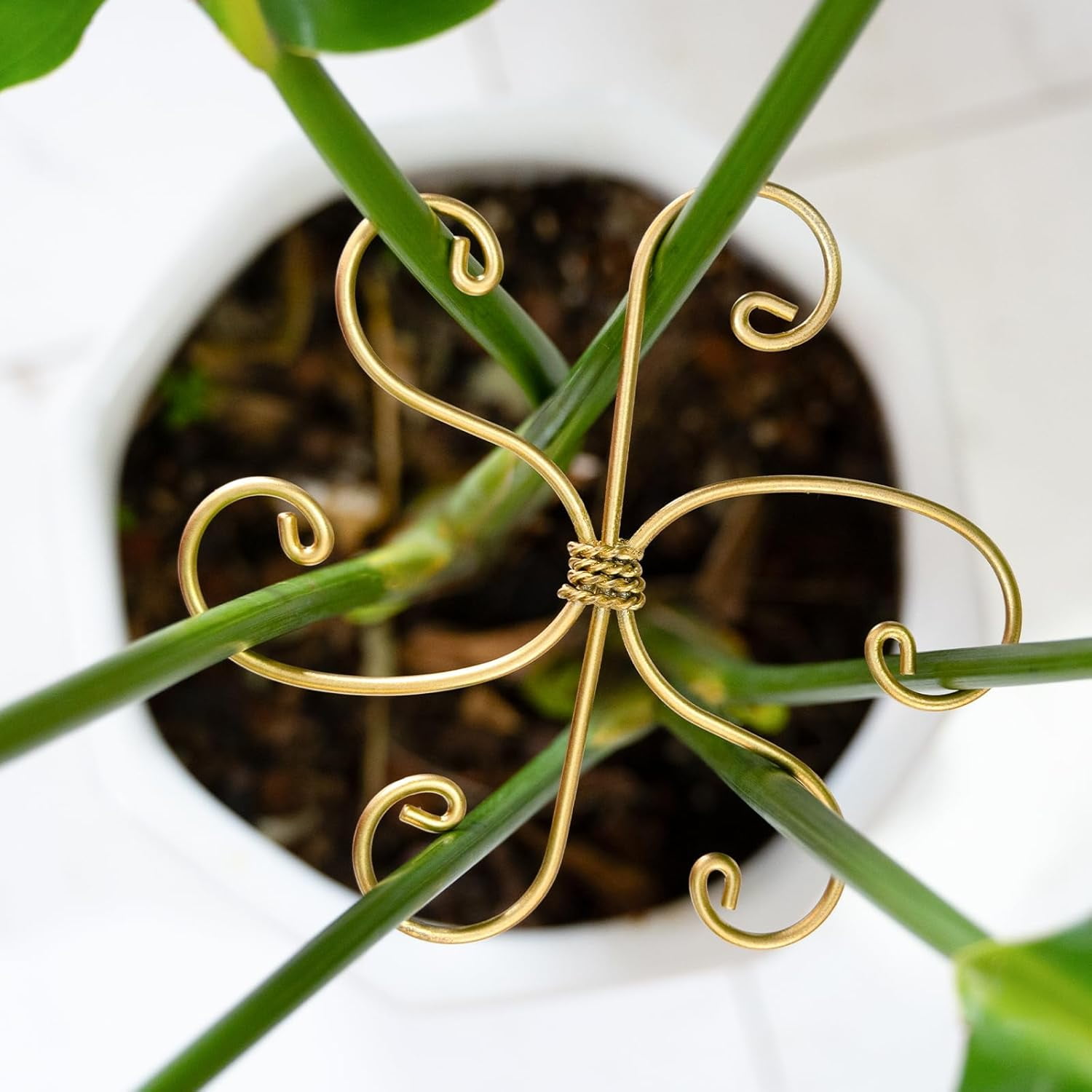 Durable Monstera Plant Support Hooks - 5-Piece Set for Indoor Plant ...