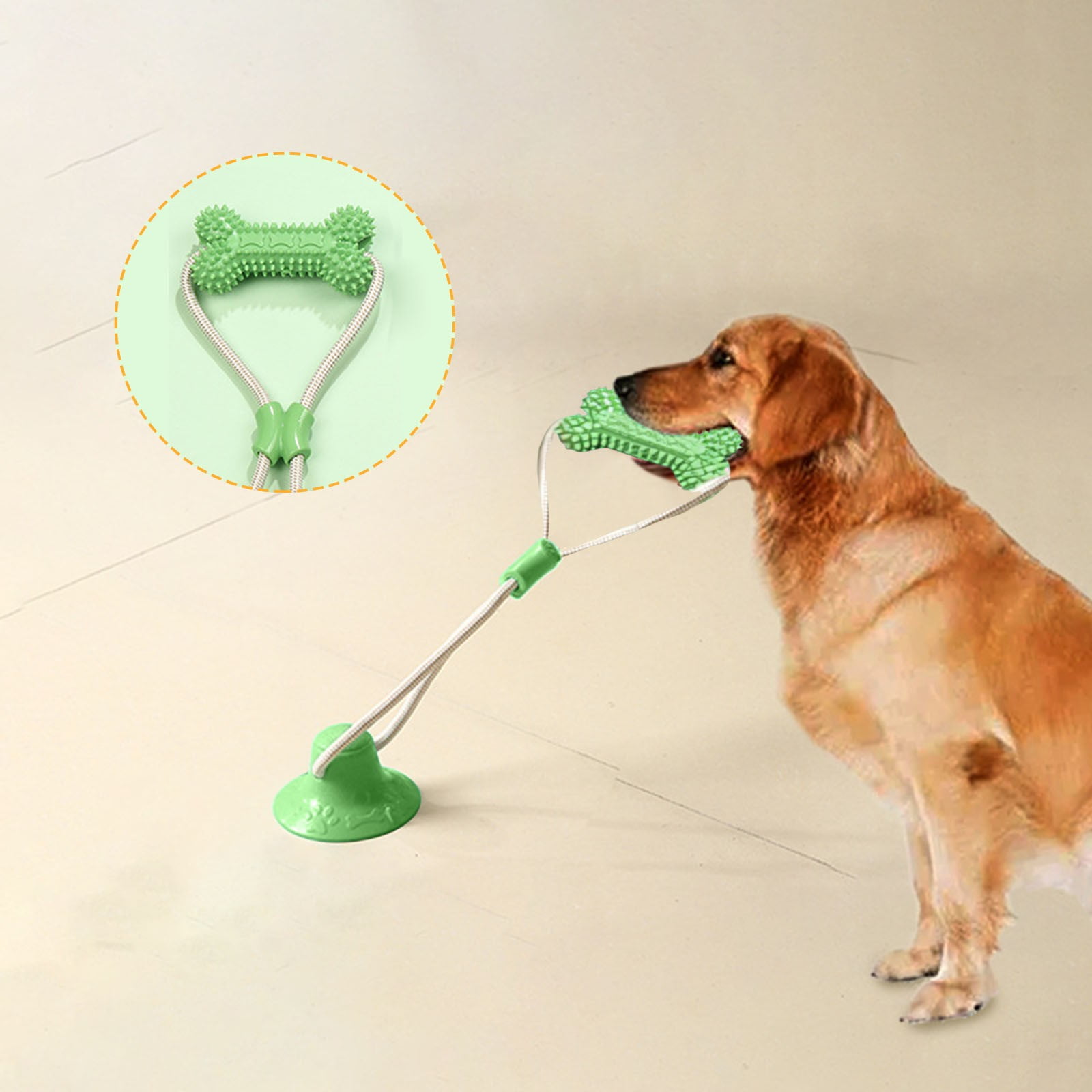 Durable Multifunction Pet Chew Toy for Dogs - Bouncy Teething Molar ...
