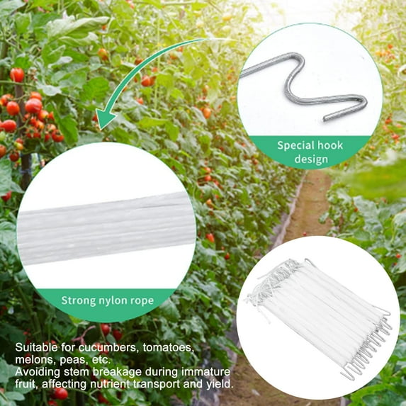 Durable Plant Climbing Hooks, 10Pcs Set for Vine Support, Greenhouse ...