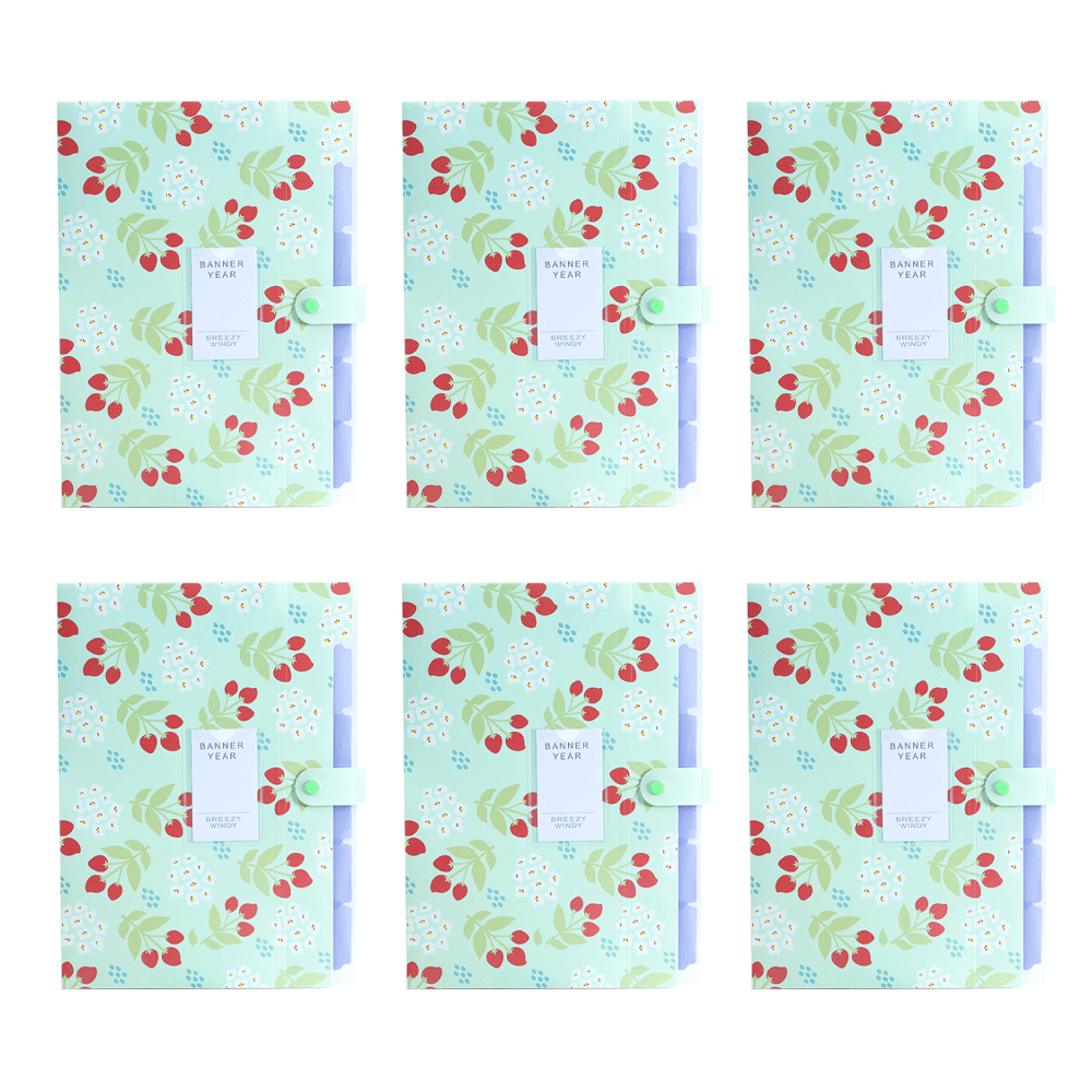 Durable Polypropylene Expanding File Folder Expanding File Folder - 6 ...