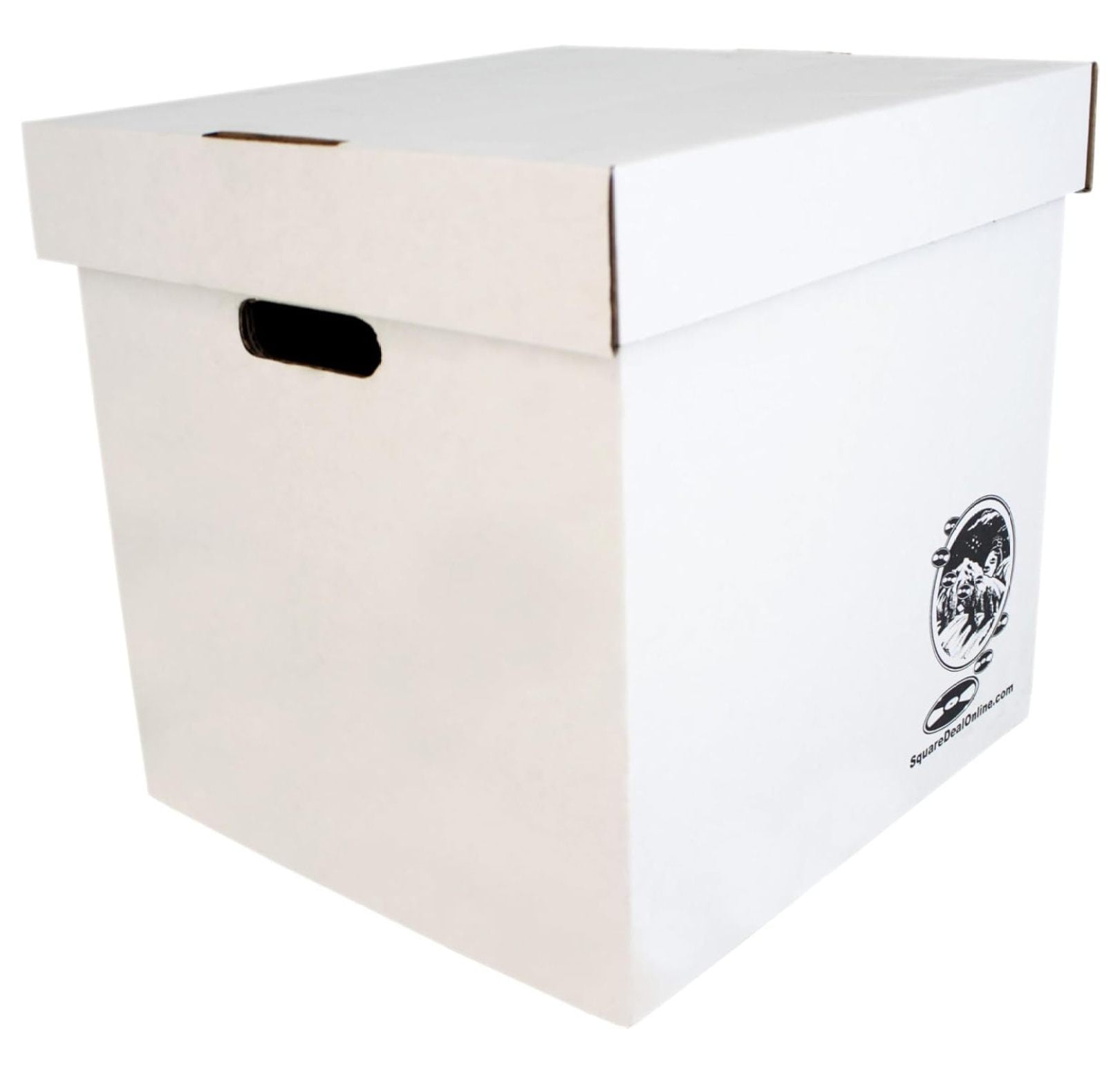 Durable Set of 10 12 inch Vinyl Record Storage Boxes - Heavy-Duty ...