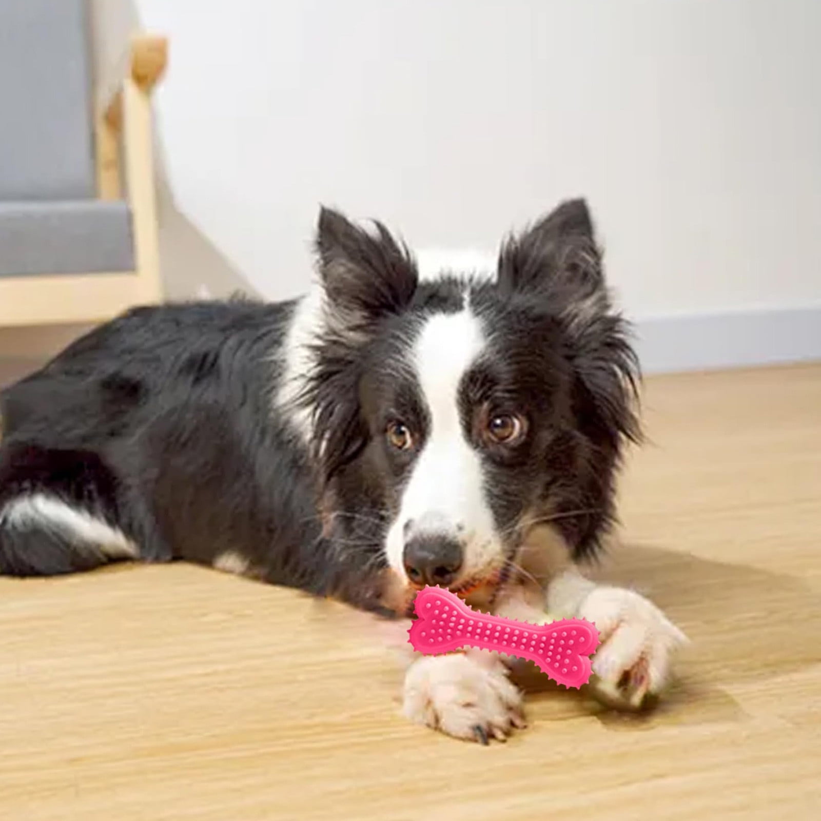 Durable Spiky Bone Teething Toy Whimsical Dog Chew Toys Novelty ...