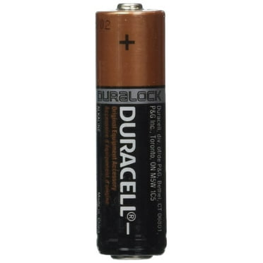 Duracell CopperTop AA Alkaline Batteries, 40 Count, 10 Years Storage ...