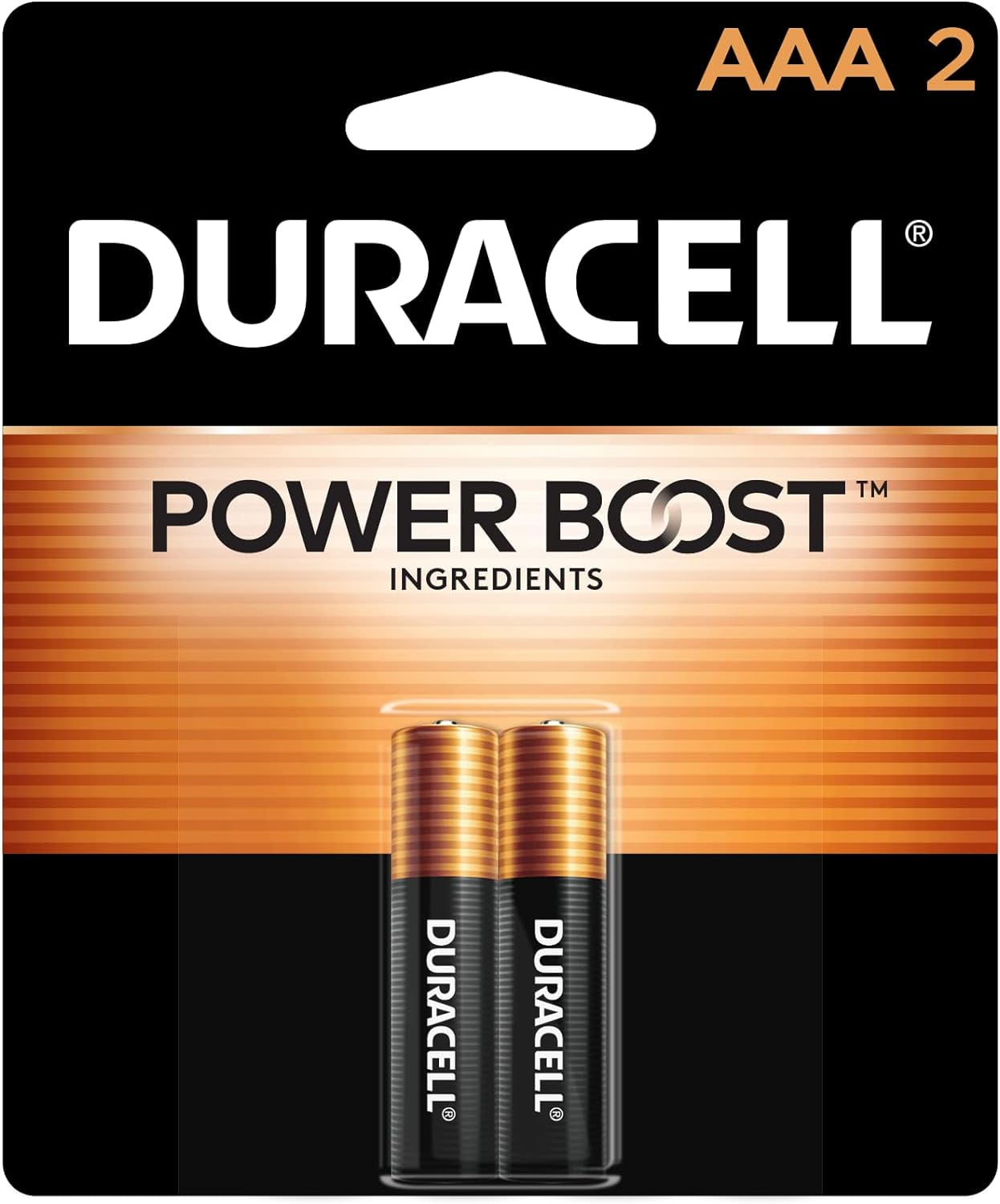Duracell Coppertop AAA Batteries with Power Boost Ingredients, 2 Count ...
